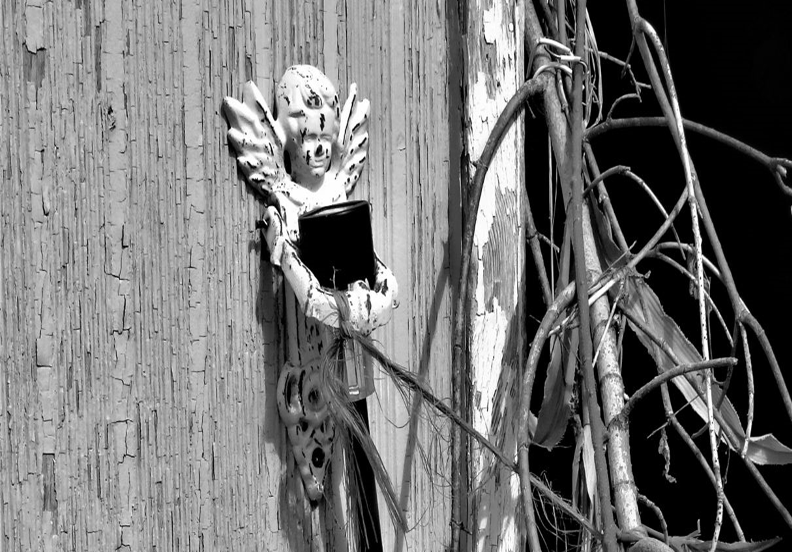 Rose Scollard: Playwright and Author » COMING SOON